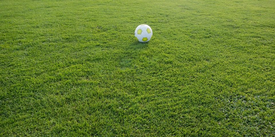 How to Use a Spiking Roller: Common Sports Ground Maintenance FAQs